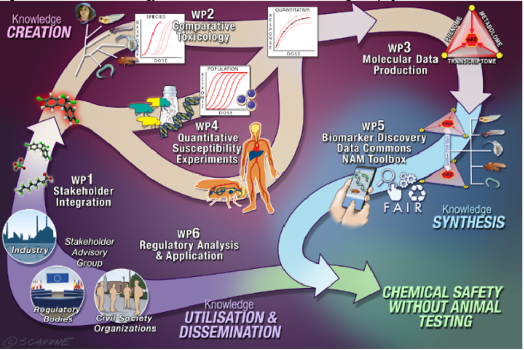 Project – PrecisionTox